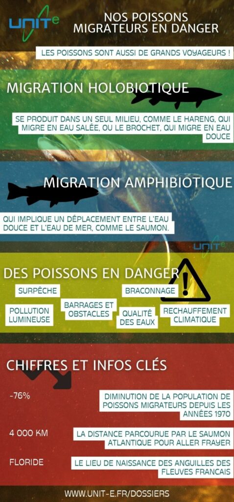 L'impact Des Barrages Sur Les Poissons Migrateurs