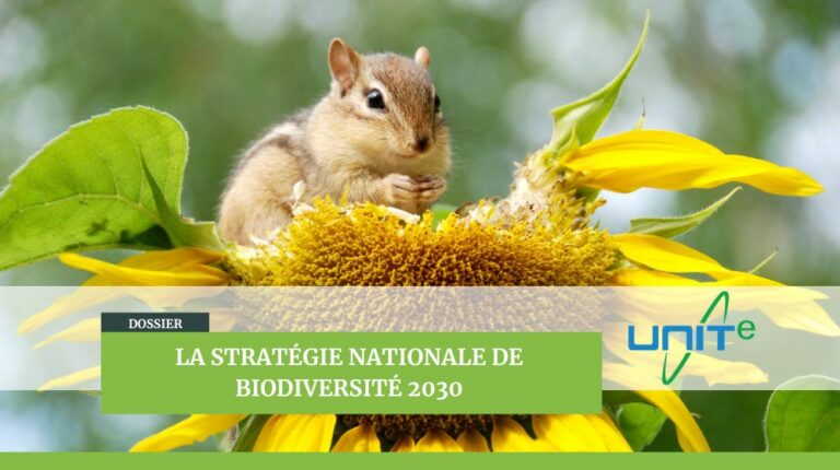 Photovoltaïque Et Stratégie Nationale Biodiversité 2030 - UNITe